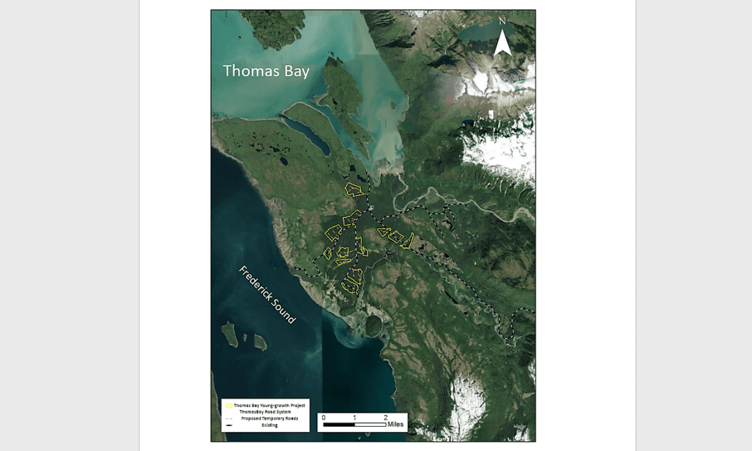 Proposed timber sale targets young growth in Southeast Alaska - KFSK